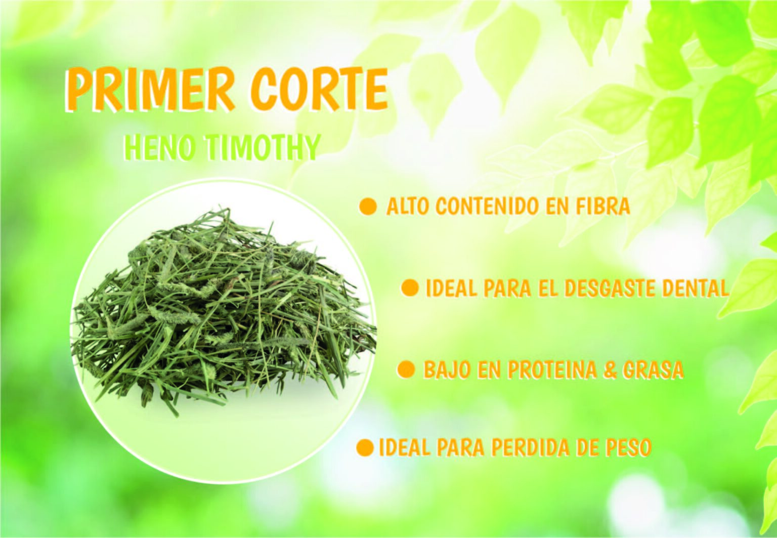 Los diferentes cortes del heno timothy - Cunipic